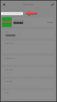 How to put VSCO link in Instagram bio – AiSchedul