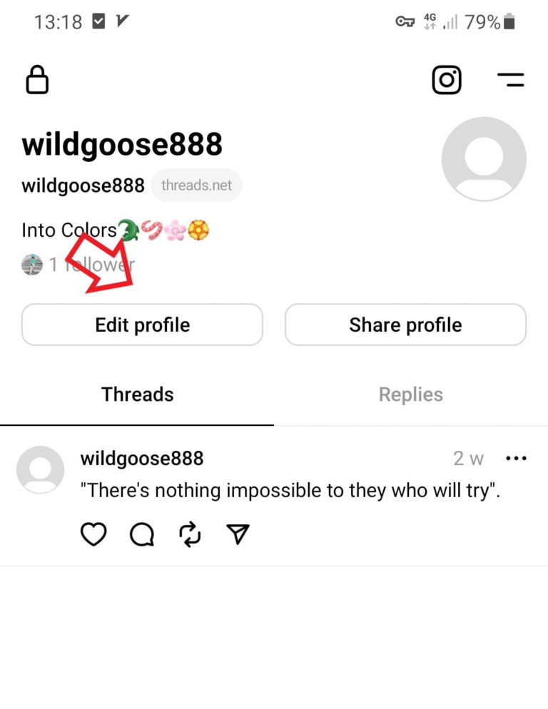 Explore 20 Threads Bio Examples to Get Inspired